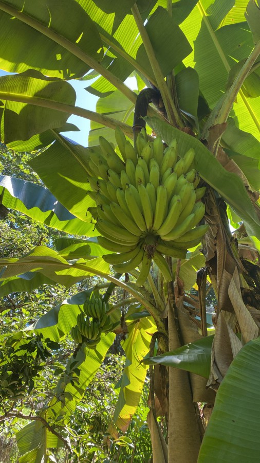 Plot of land For Sale West End Ad:1029314