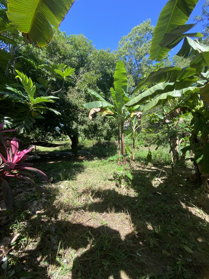 Plot of land For Sale West End Ad:1029314