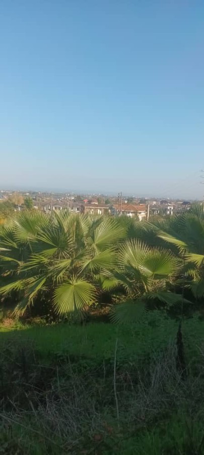 Plot of land For Sale Mazubon E `olya Ad:1008229