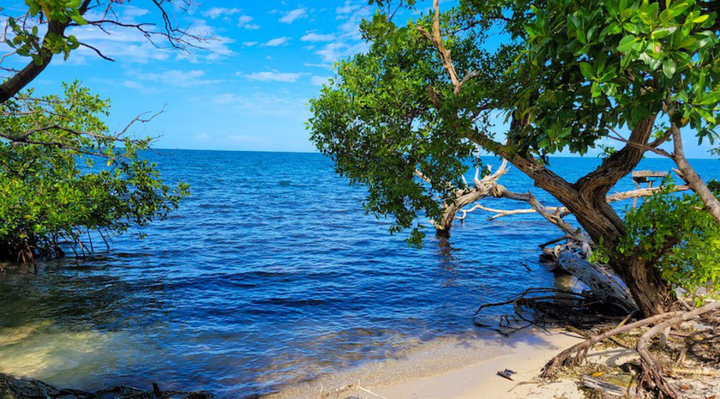 Plot of land For Sale Belize Ad:1021632