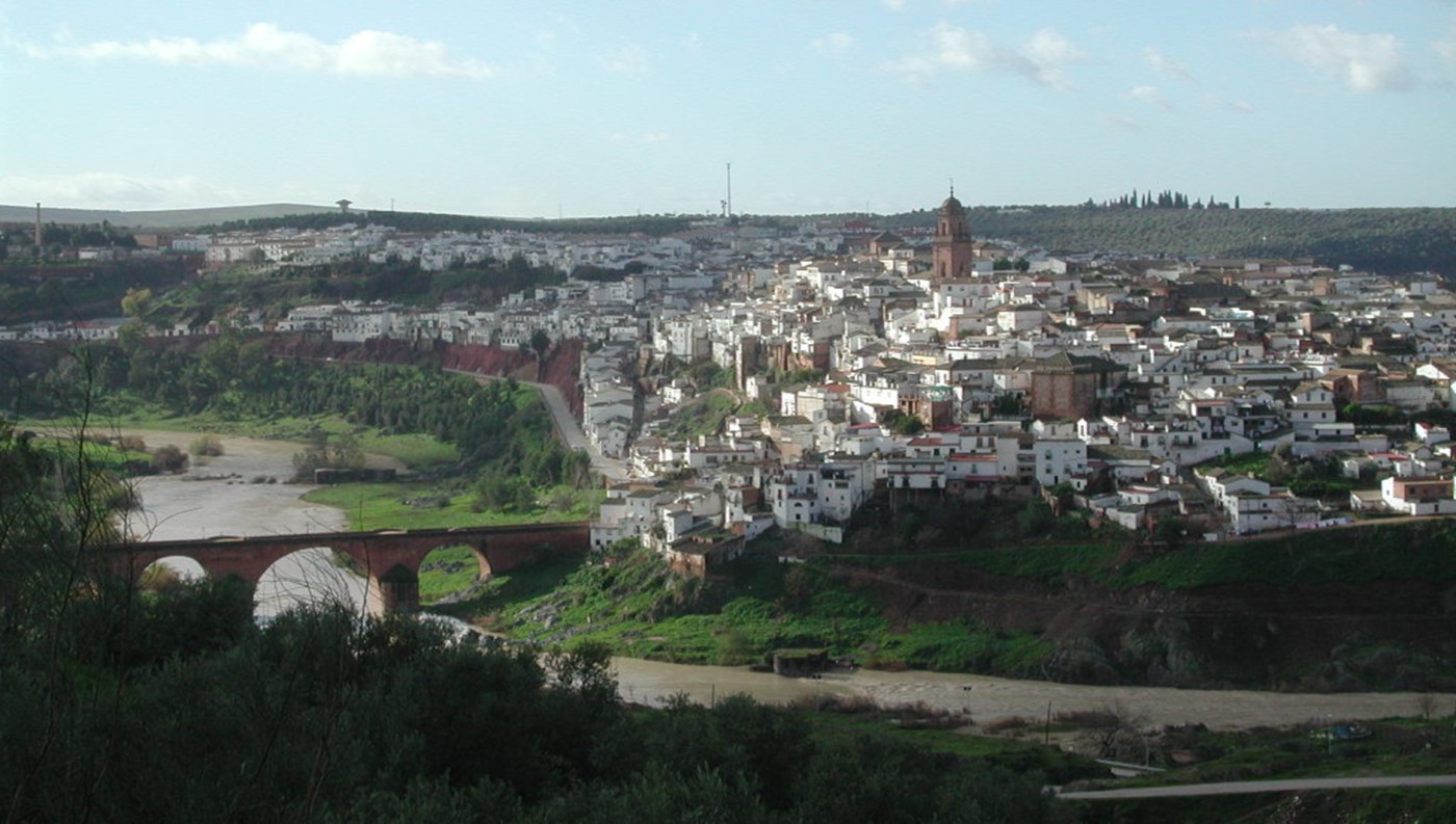 Business For Sale Montoro Ad:1003964